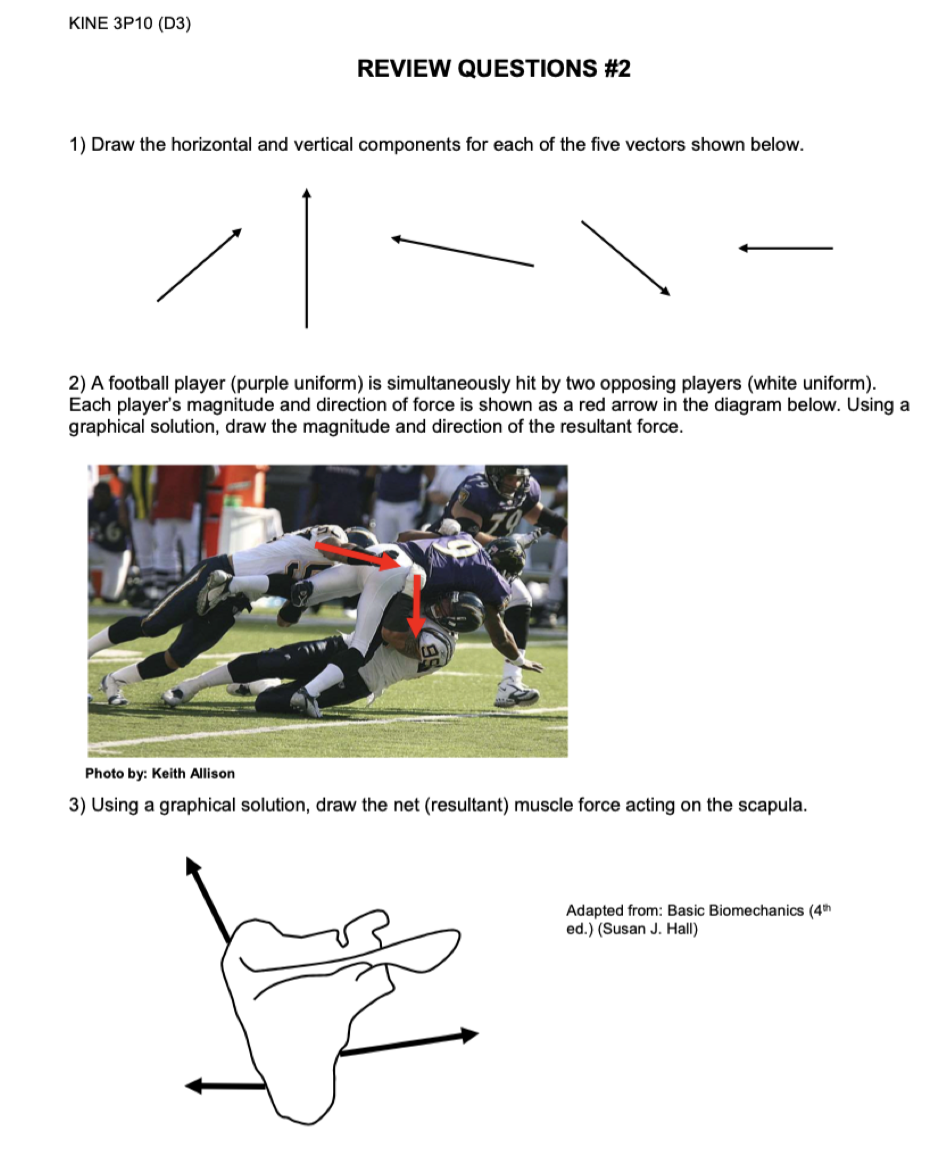 Solved REVIEW QUESTIONS \#2 1) Draw the horizontal and | Chegg.com