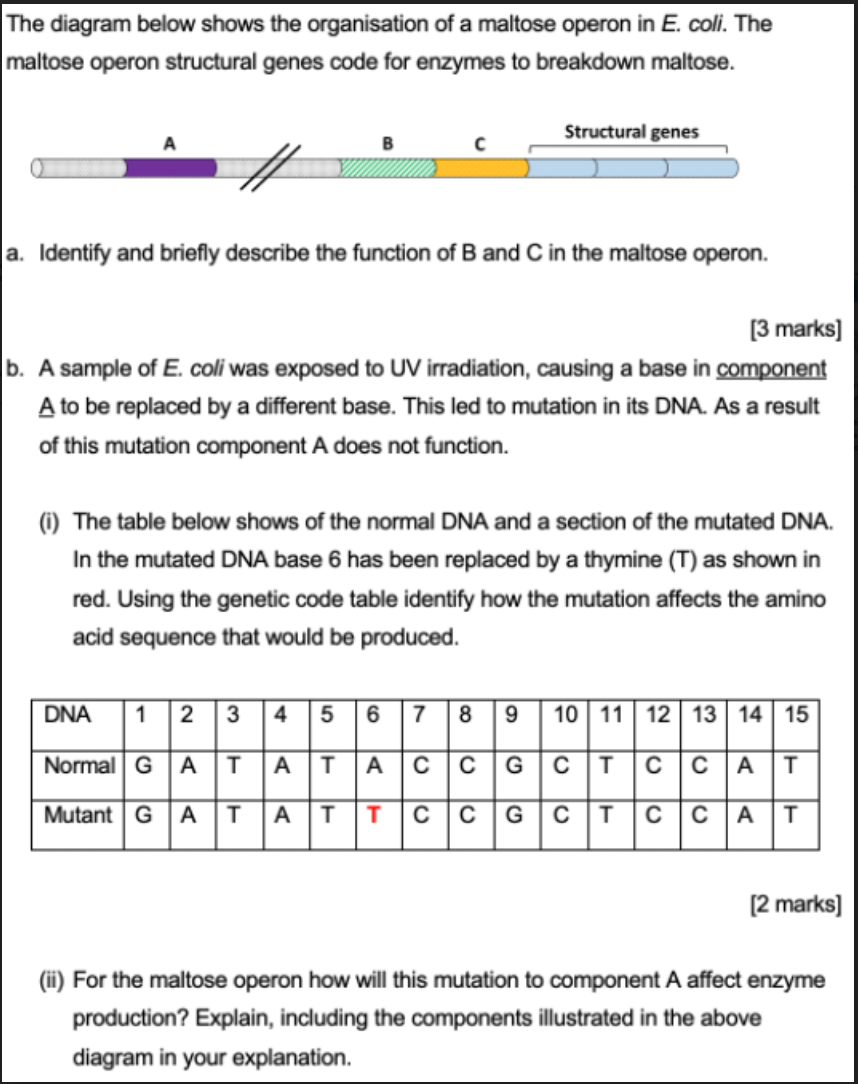 Solved The diagram below shows the organisation of a maltose | Chegg.com