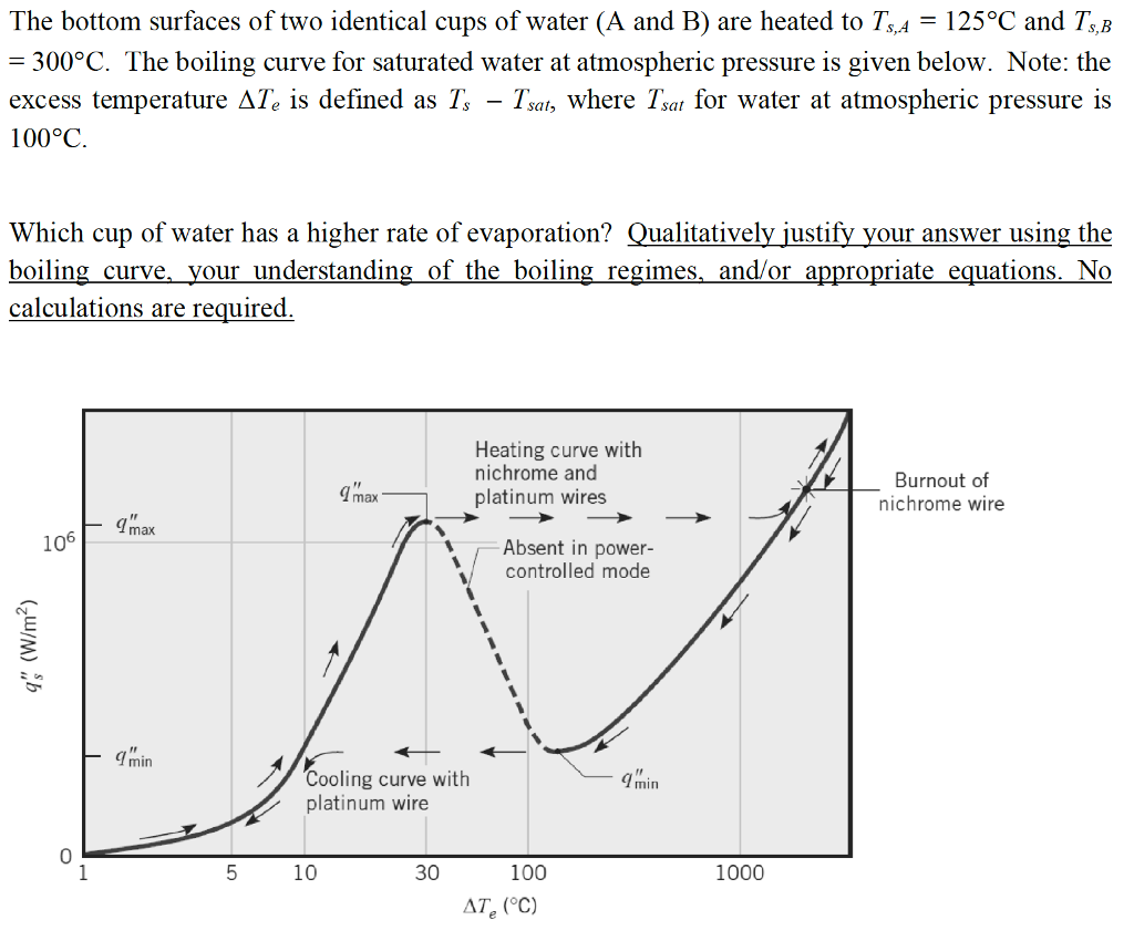 Solved The bottom surfaces of two identical cups of water (A | Chegg.com