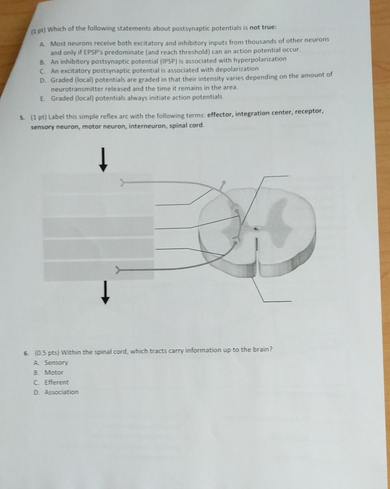 Solved 15 pts (5 pts) Fill in the table below describing | Chegg.com