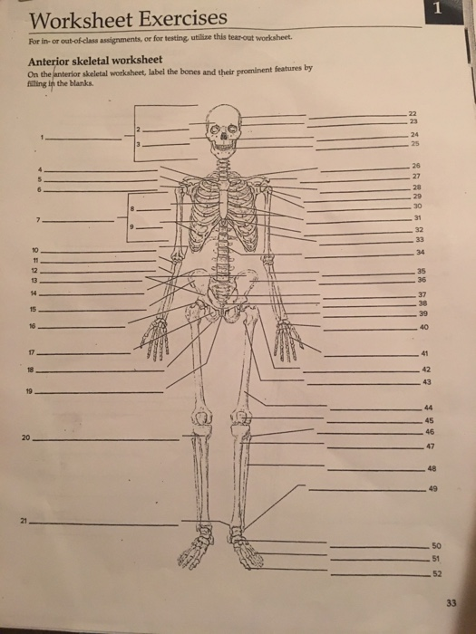 Solved Worksheet Exercises For In Or Out of class Chegg