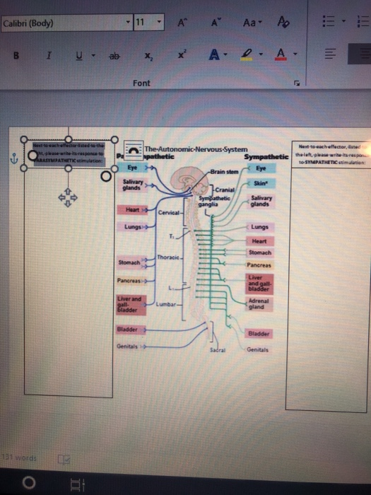 Calibri (Body) Font Salivary glands Lungs Lungs Ti | Chegg.com