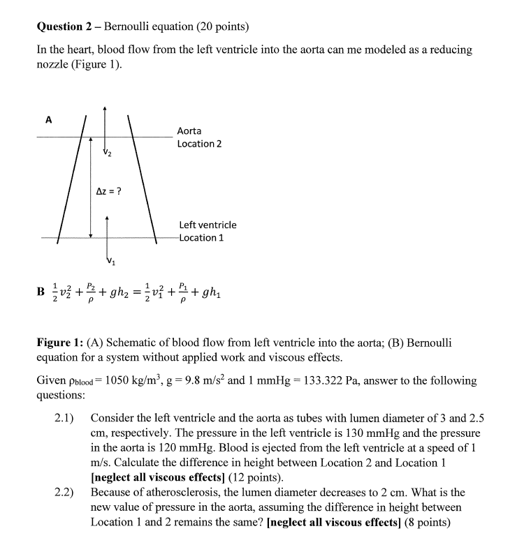 Solved Question 2 - Bernoulli equation (20 points) In the | Chegg.com