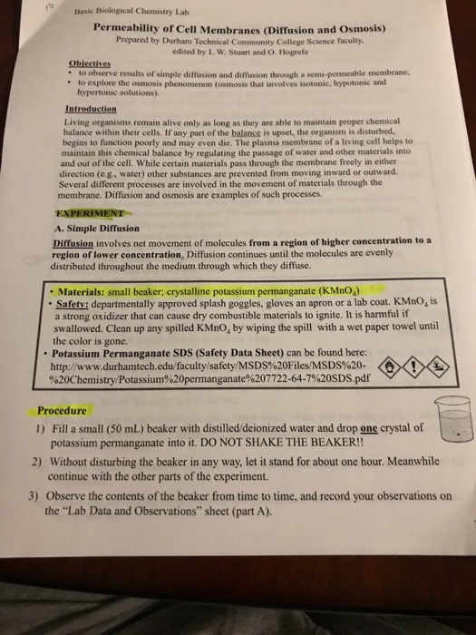 Basic Biological Chemistry Lab Permeability of Cell | Chegg.com