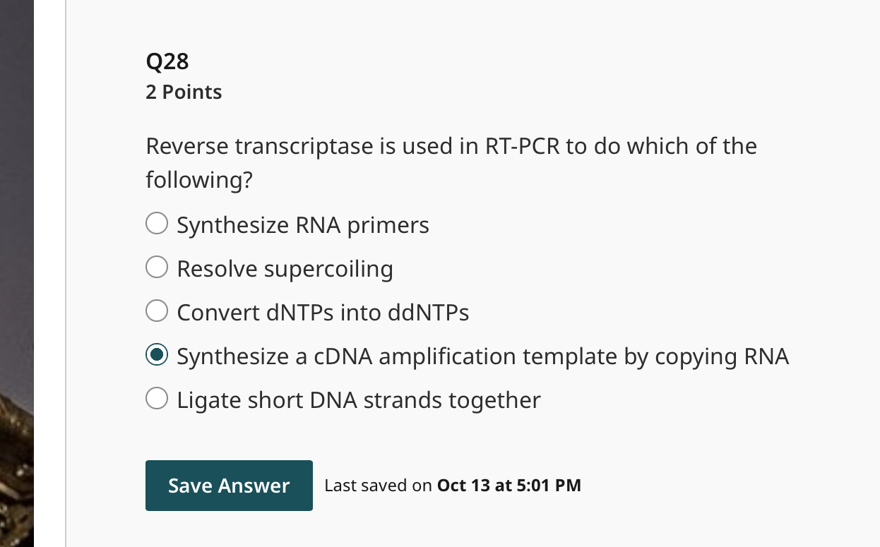 Solved 2 Points Reverse transcriptase is used in RT-PCR to | Chegg.com