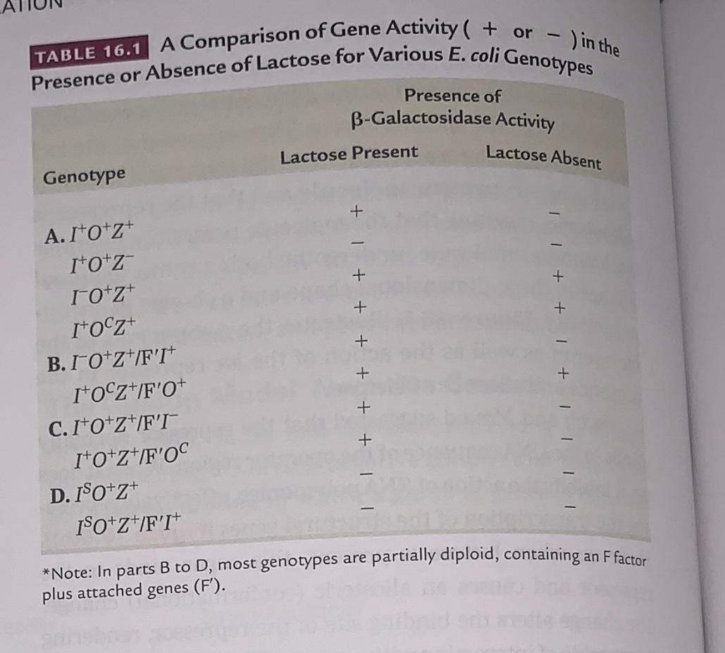 Solved TABLE 16.1 A Comparison of Gene Activity ( + or - ) | Chegg.com