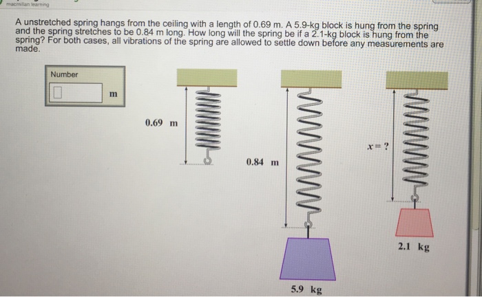 Solved A unstretched spring hangs from the ceiling with a | Chegg.com