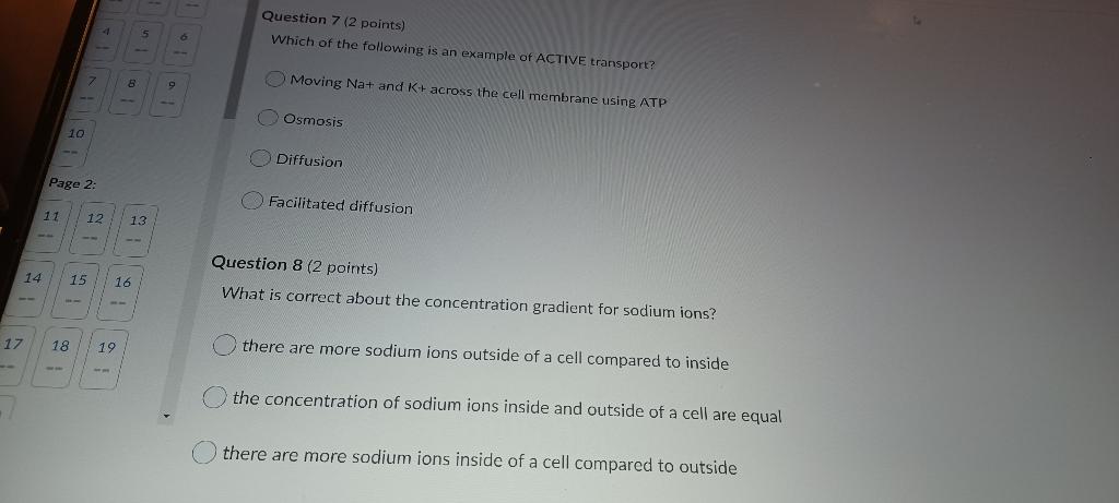 Solved Question 7 (2 points) Which of the following is an | Chegg.com