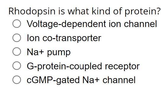 How does halorhodopsin ( NpHR) inactivate neurons? | Chegg.com