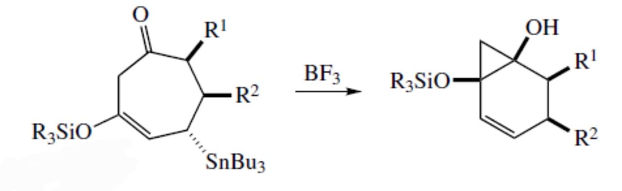 Solved R1 OH R1 BF3 R3SIO -R2 R3SiO R2 SnBuz | Chegg.com