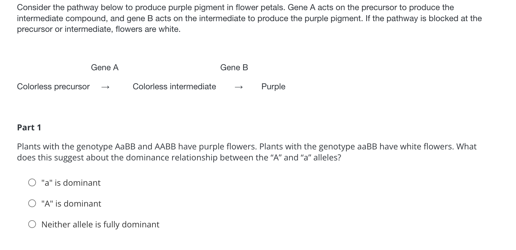 Solved Consider the pathway below to produce purple pigment | Chegg.com