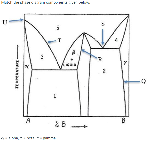 Solved Match the phase diagram components given below. U U S | Chegg.com
