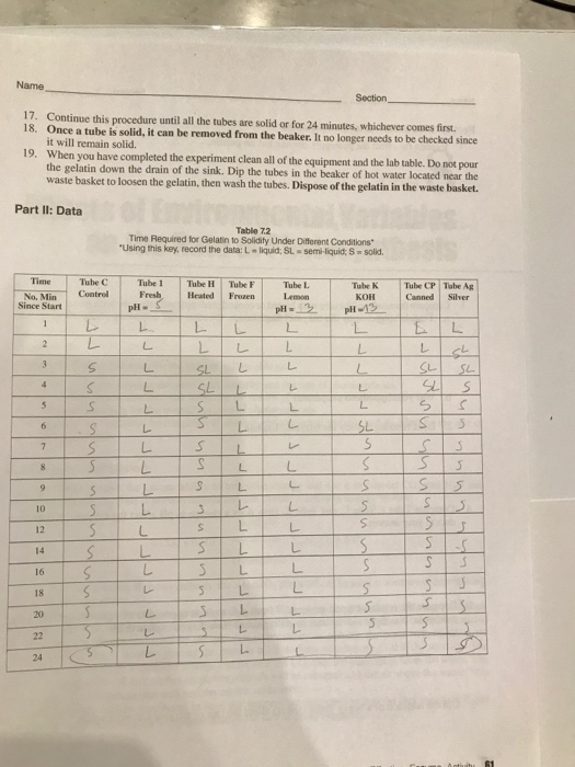 Solved Can you help me to write abstract( this lab summary) | Chegg.com
