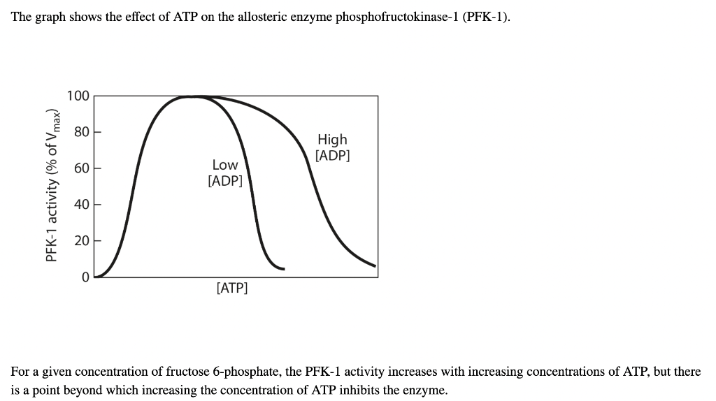 Solved The graph shows the effect of ATP on the allosteric | Chegg.com