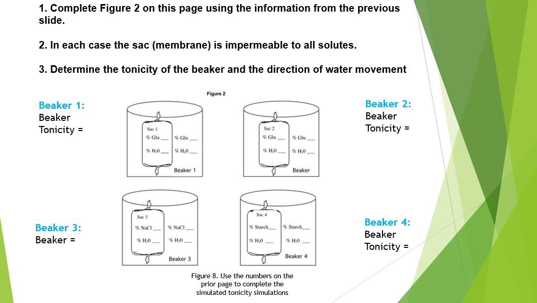 Solved Scenario: The Beaker solution represents | Chegg.com