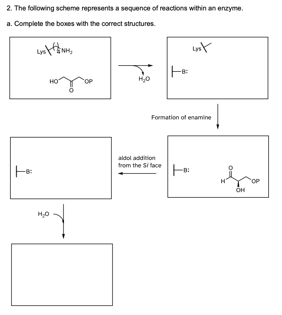 Solved The following scheme represents a sequence of | Chegg.com