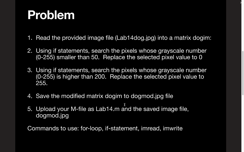 Solved 1. Read the provided image file (Lab14dog.jpg) into a | Chegg.com