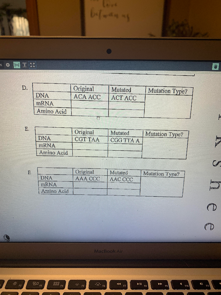 Solved " Mutation Type? Original ACA ACC | Mutated ACT ACC | Chegg.com