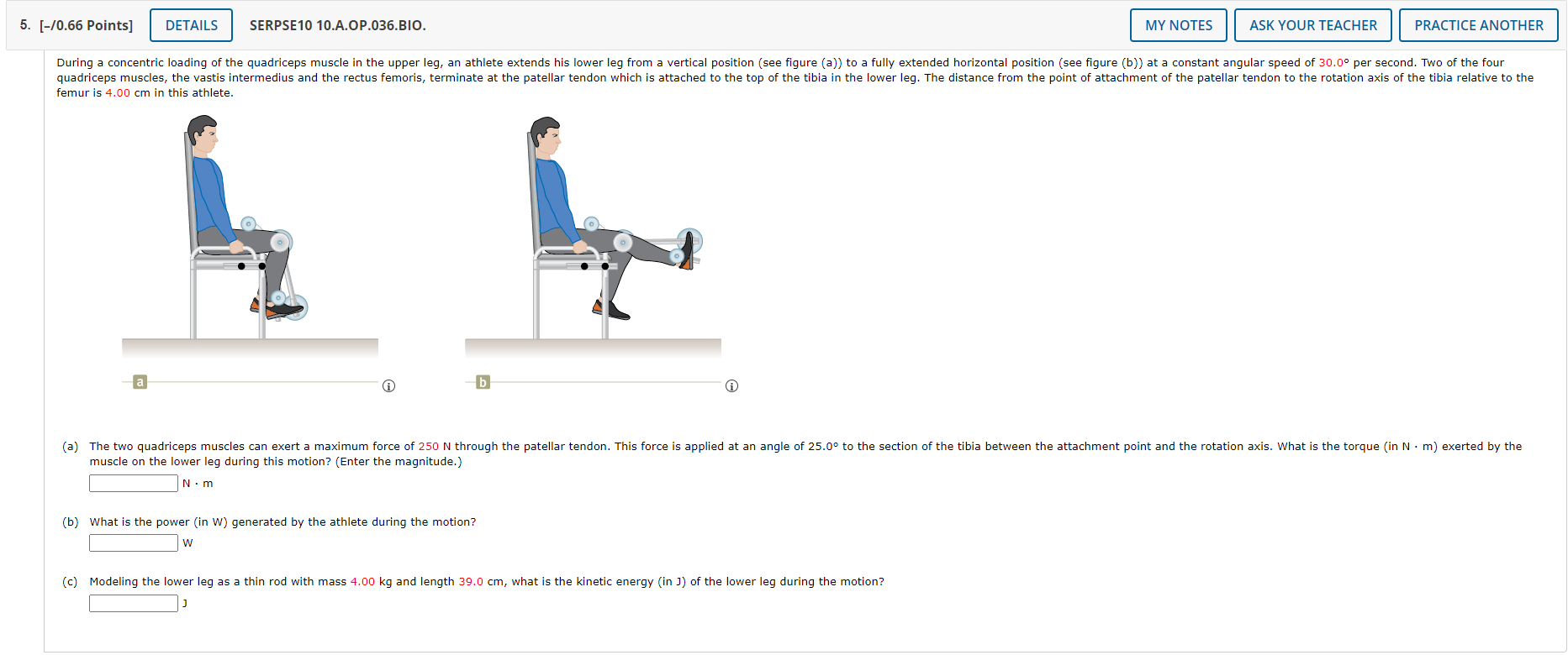 Solved muscle on the lower leg during this motion? (Enter | Chegg.com