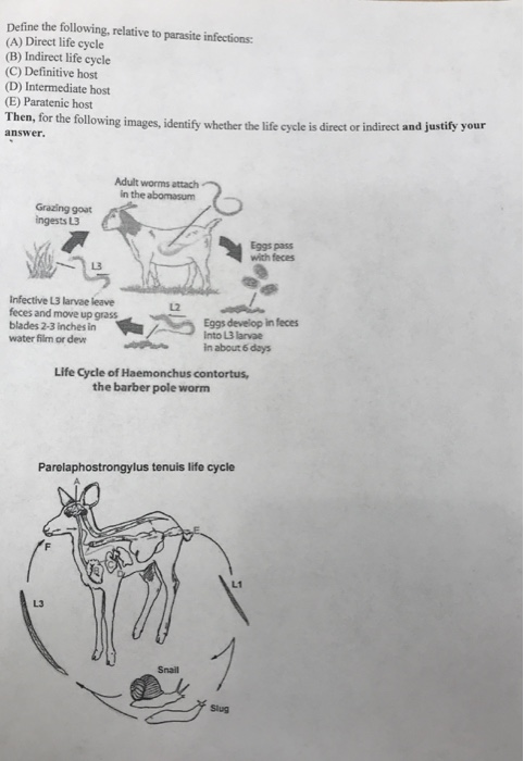 Solved Define the following, relative to parasite | Chegg.com