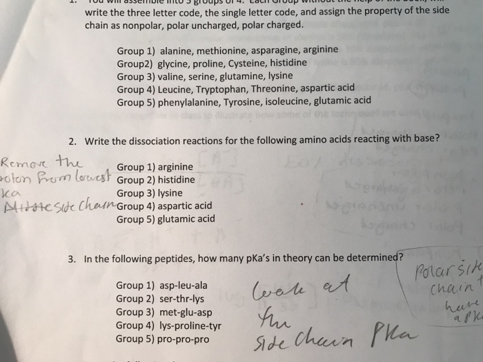 Solved write the three letter code, the single letter code, | Chegg.com