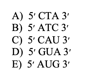 Solved An mRNA has the codon 5’ GUA 3’. What tRNA anticodon | Chegg.com