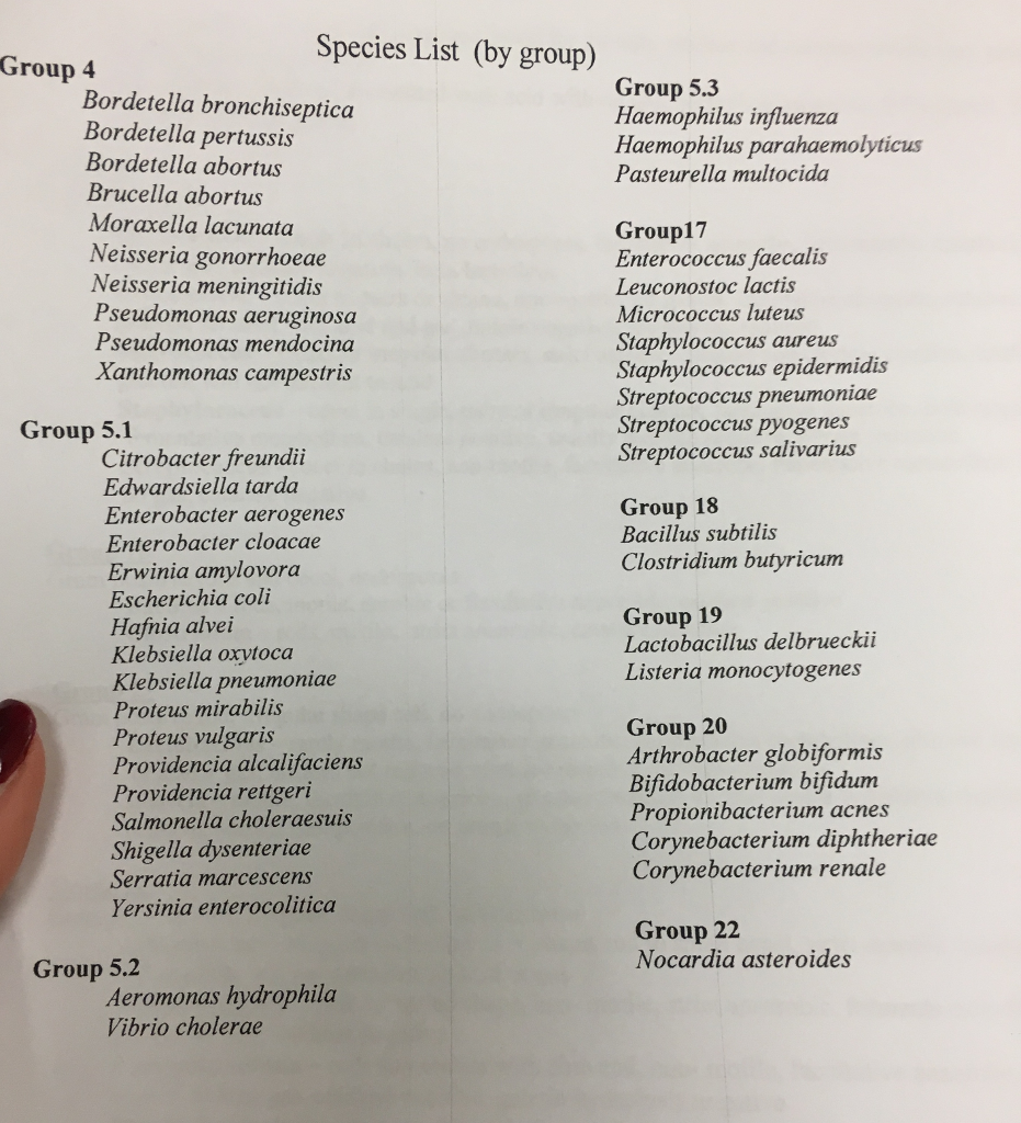 Solved What bacteria aligns with these test results (picture | Chegg.com