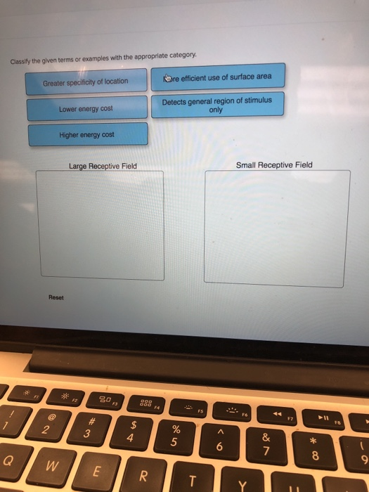 Solved Simplifying unit expressions Rewrite this measurement | Chegg.com