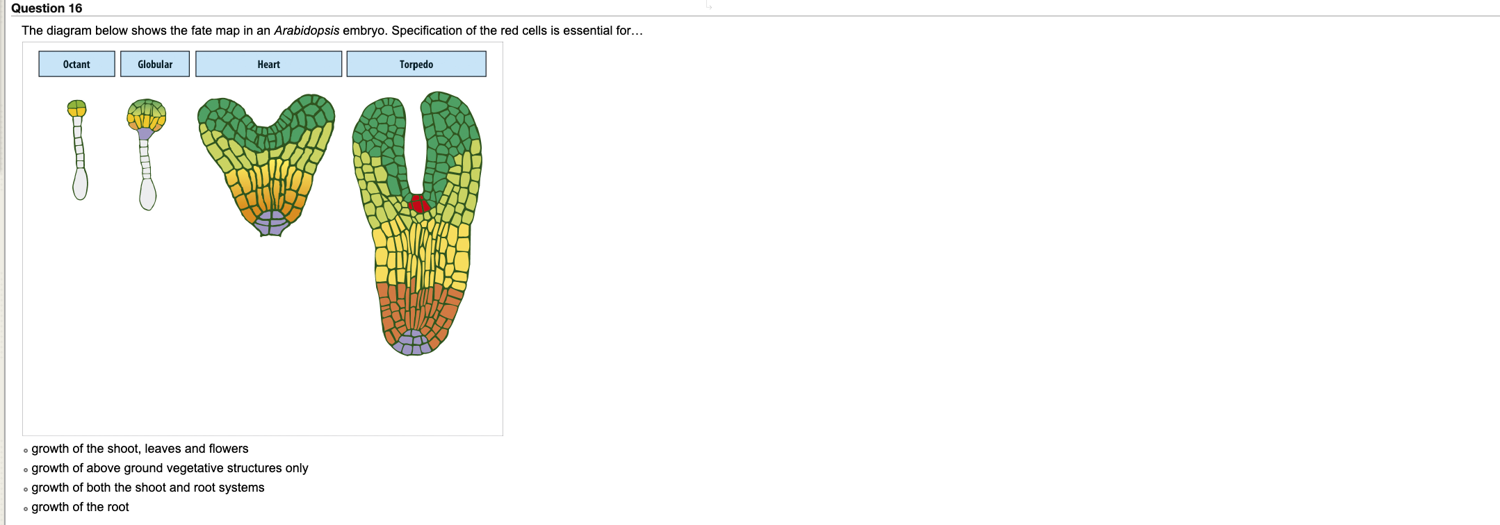 Solved The diagram below shows the fate map in an | Chegg.com