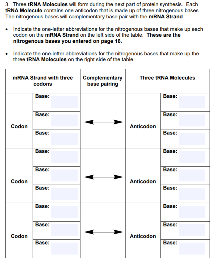 Solved DNA STRUCTURE AND PROTEIN SYNTHESIS Questions 1. | Chegg.com