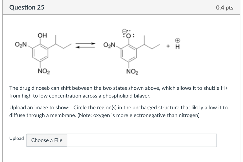 Solved Question 25 0.4 pts он O2N NO2 NO2 The drug dinoseb | Chegg.com