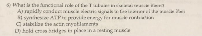 Solved 6) What is the functional role of the T tubules in | Chegg.com