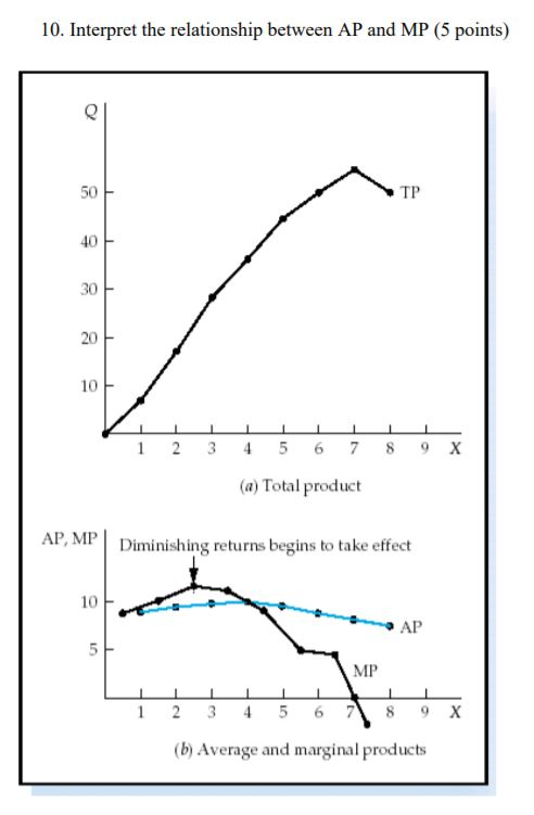 Solved 10. Interpret the relationship between AP and MP (5 | Chegg.com