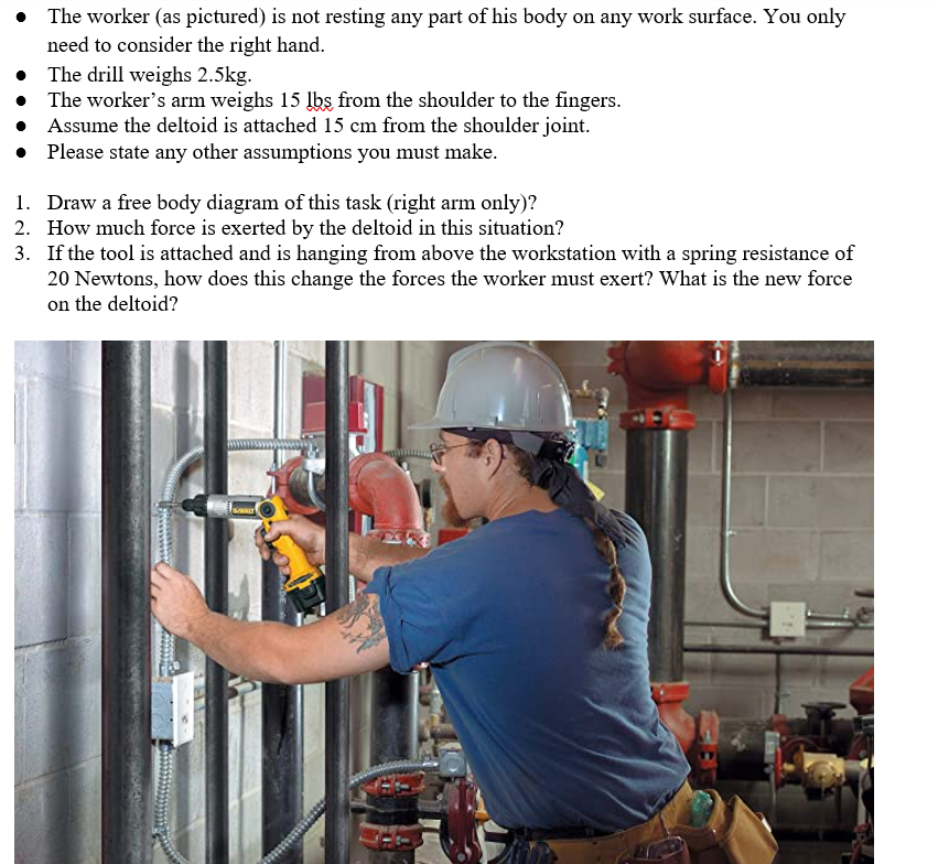 Solved The worker (as pictured) is not resting any part of | Chegg.com