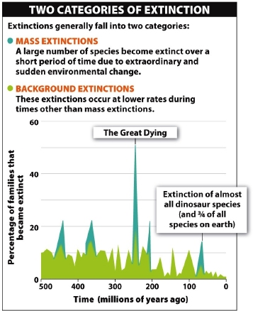 Solved What is the maximum rate of extinction shown in the | Chegg.com