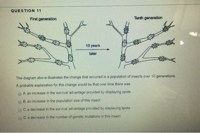 Solved QUESTION 11 First generation Tenth generation SE 10 | Chegg.com