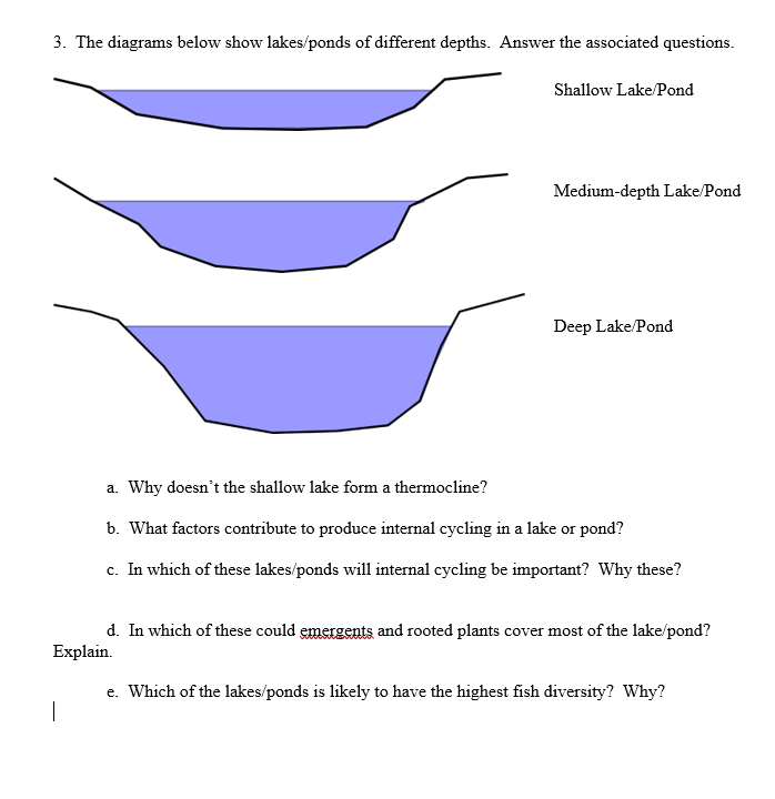 3. The diagrams below show lakes/ponds of different | Chegg.com
