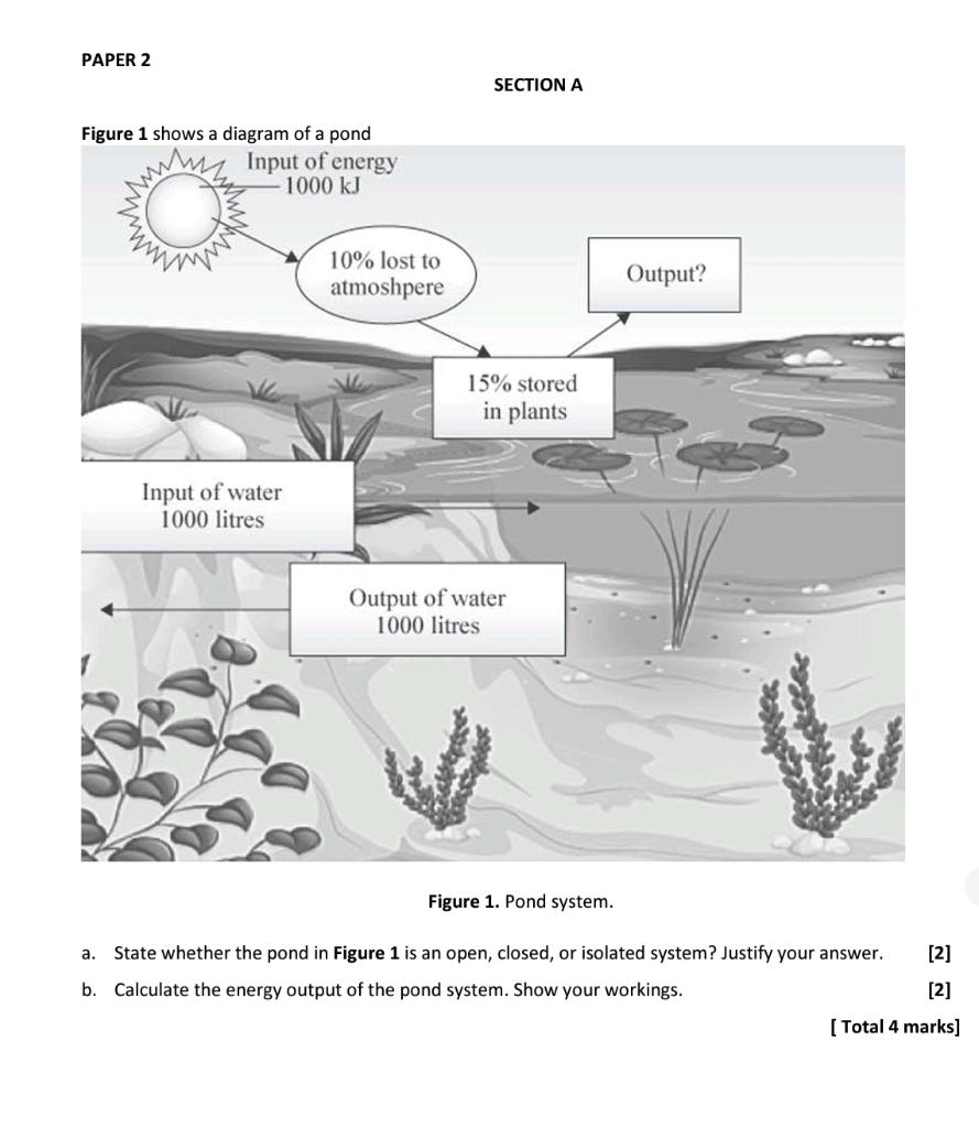Solved PAPER 2 SECTION A Figure 1 shows a diagram of a pond | Chegg.com
