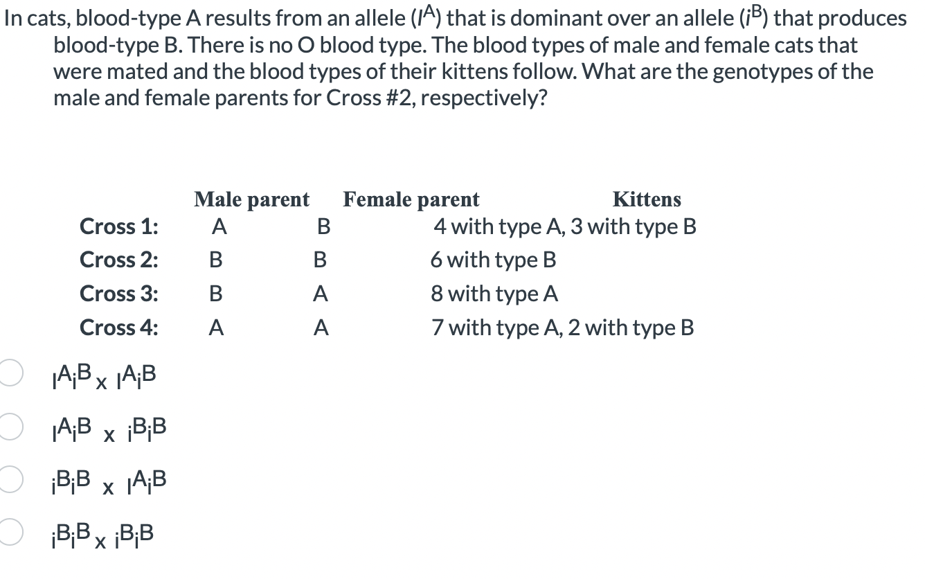 In cats, blood-type A results from an allele (IA) | Chegg.com