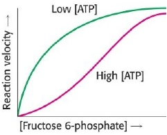 Solved Phosphofructokinase (PFK-1) is a glycolysis | Chegg.com