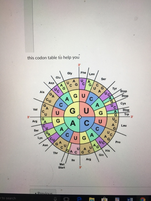 Solved Make sure you label the following-MRNA, Template | Chegg.com