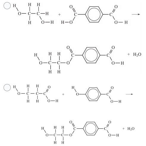 Solved Which equation correctly shows the first step in the | Chegg.com