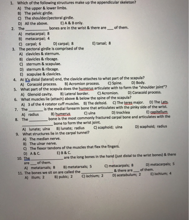 Solved Which of the following structures make up the | Chegg.com