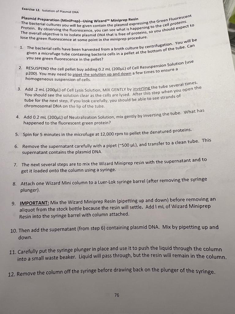 Solved Exercise 12. Isolation of Plasmid DNA Plasmid | Chegg.com