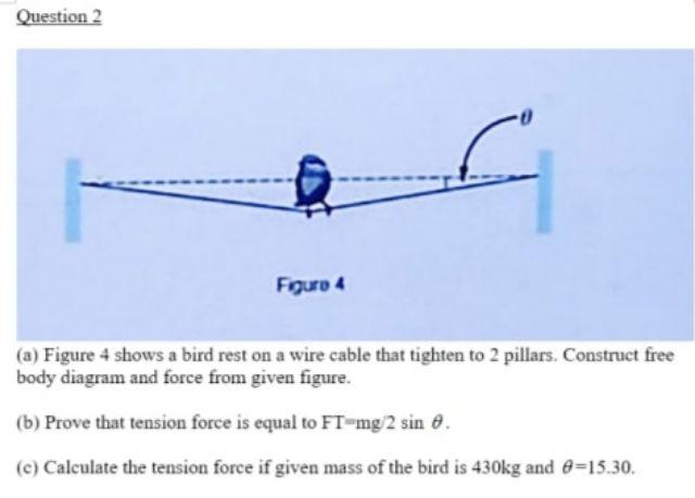 Solved Question 2 Fguro 4 (a) Figure 4 shows a bird rest on | Chegg.com
