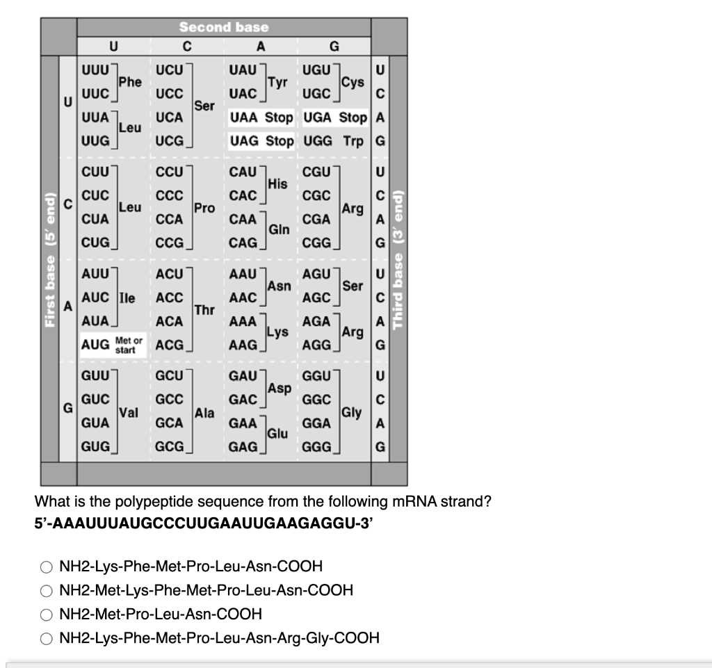 Solved Second base с A U G UCU UUU Phe UUC כ UAU UGU 7 U Tyr | Chegg.com