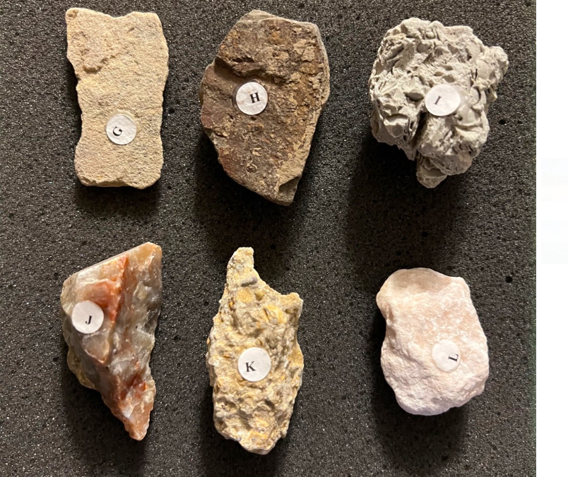 Solved ∗ Chert can also be a biogenic rock if it is composed | Chegg.com