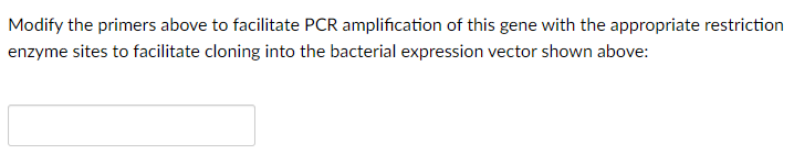 Solved Genetic Technology 1: PCR/cloning. Use the following | Chegg.com