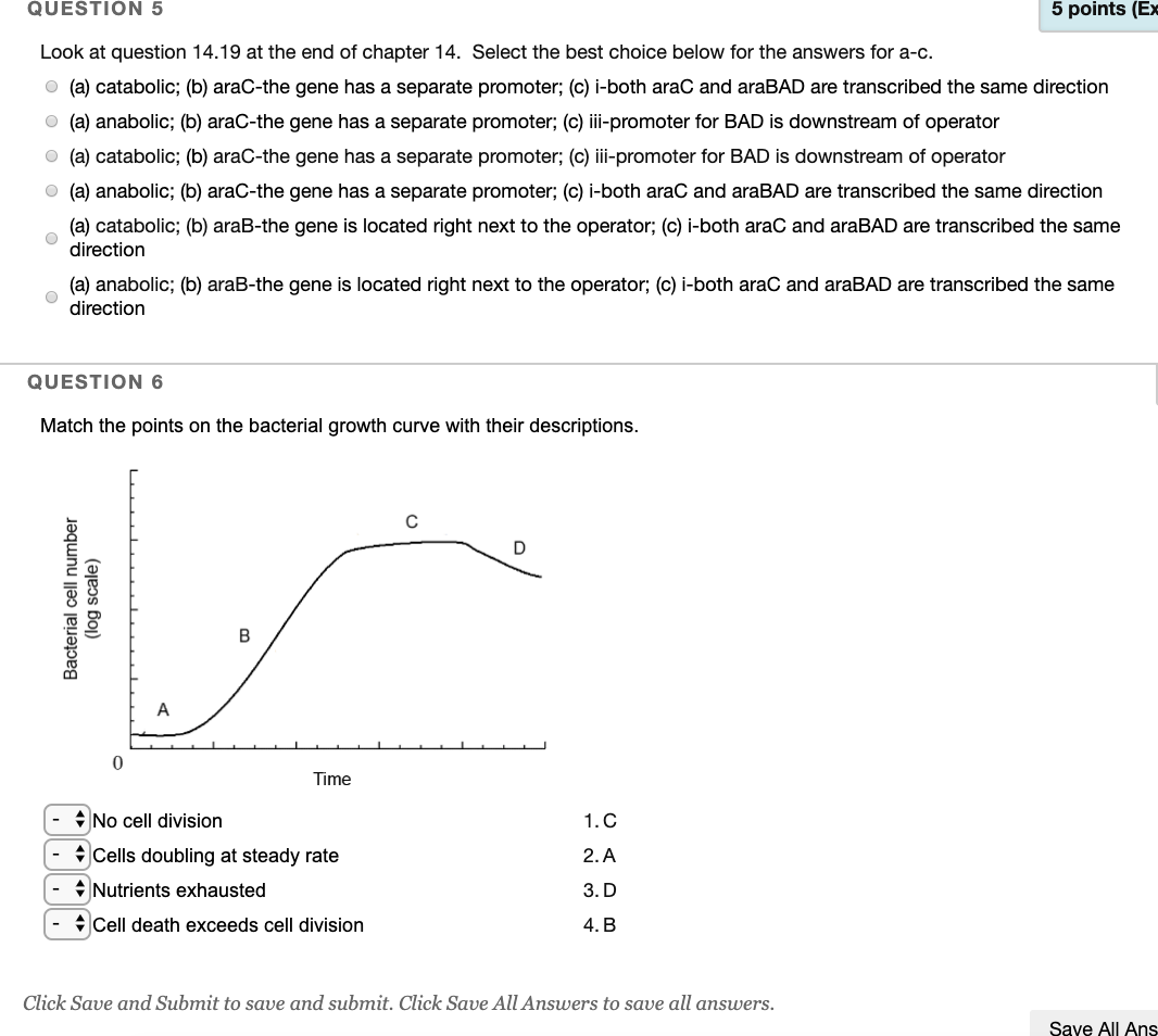 Solved QUESTION 5 5 points (Ex Look at question 14.19 at the | Chegg.com Solved QUESTION 5 5 points (Ex Look at question 14.19 at the | Chegg.com