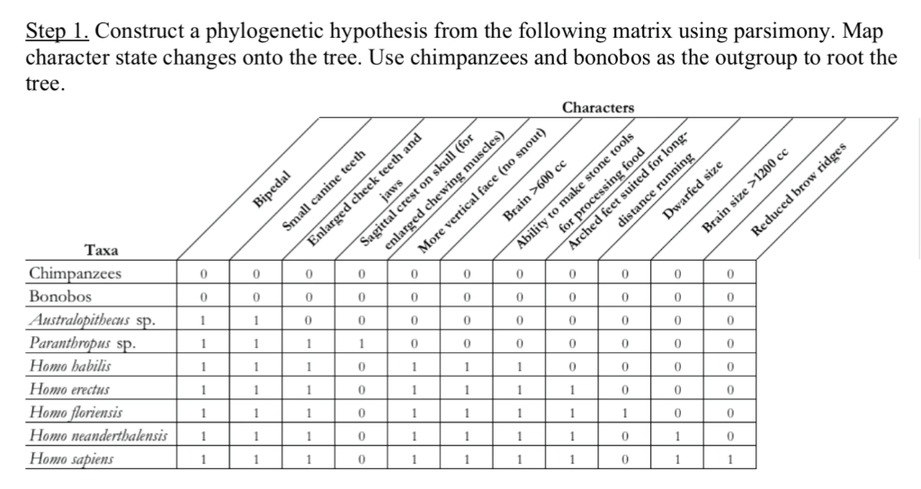 Solved Step 1. Construct a phylogenetic hypothesis from the | Chegg.com